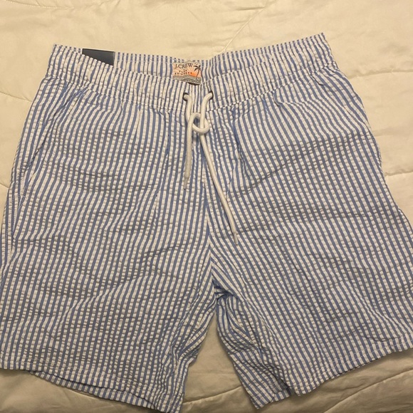 J Crew Mens Bathing Suit